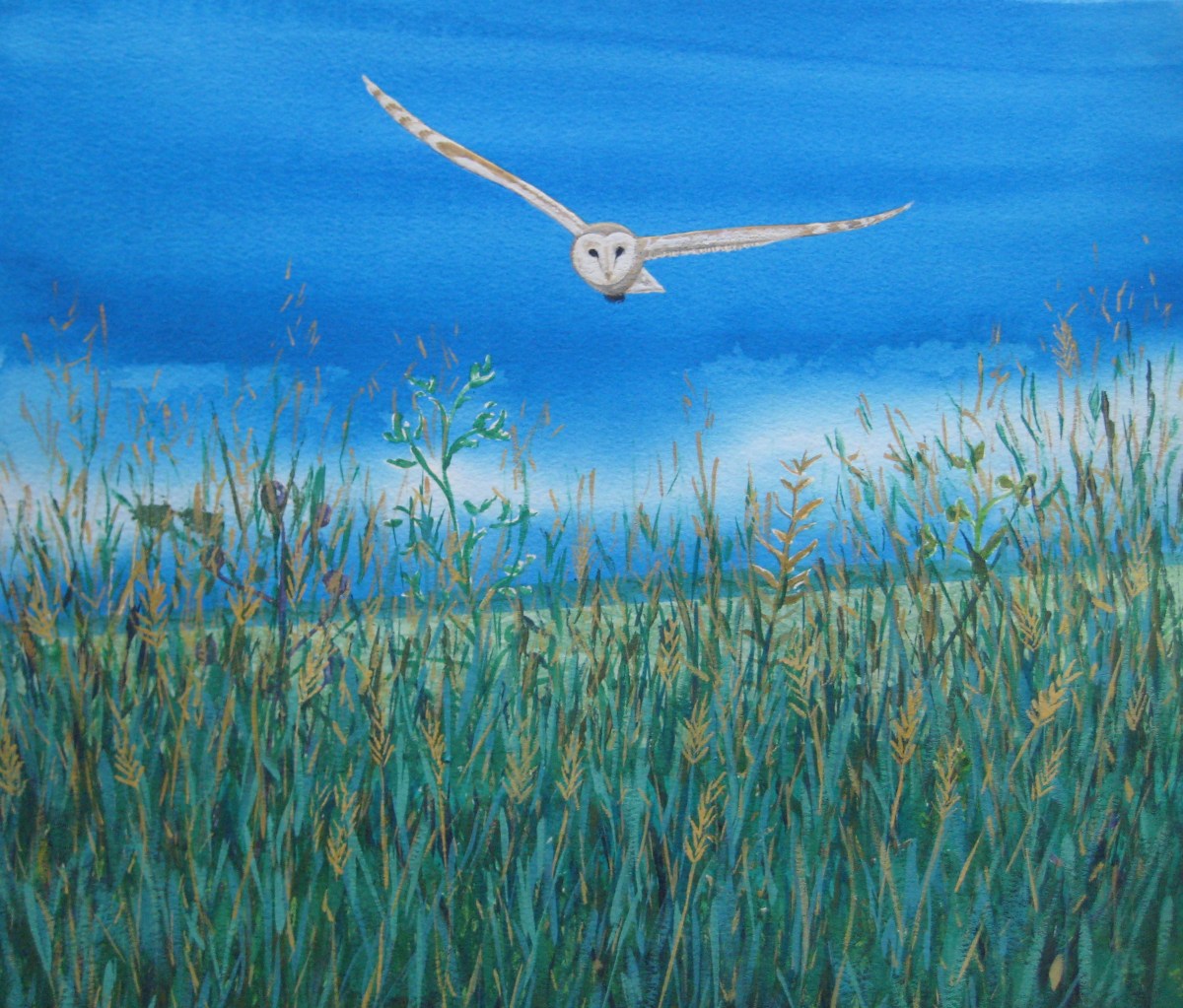 Paintings | Art by Emily Longhurst